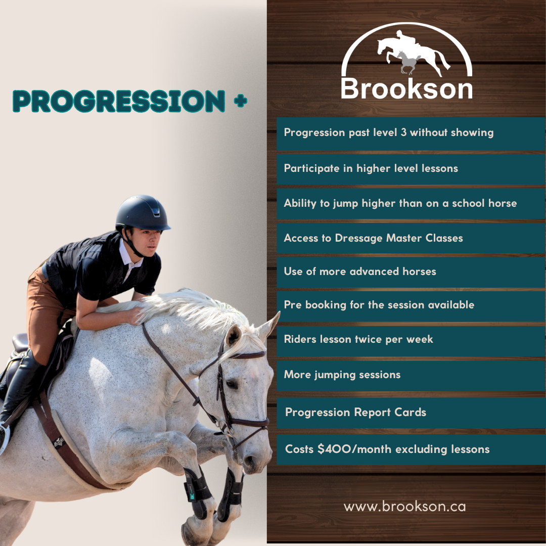 Brookson Farm – Ottawa Riding Lessons and Hunter/Jumper Competition 15 ...